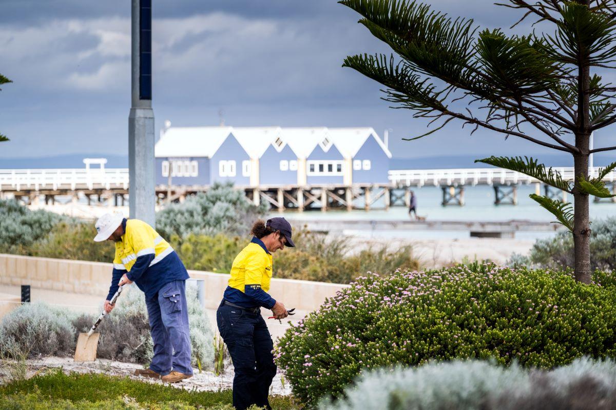 Government Public Skills Australia